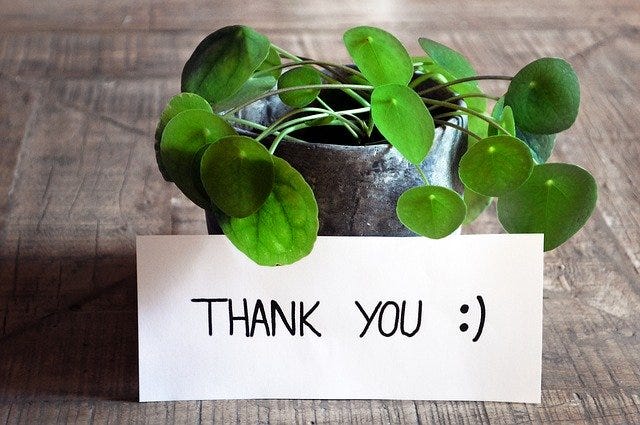 The Powerfully Transformative Habit of Saying Thank-You | by Kaylene ...