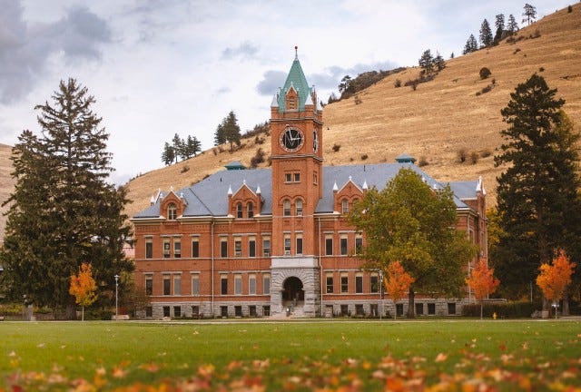 Special Report: #RealCollege 2020, pandemic edition | by Hilary Rosa ...