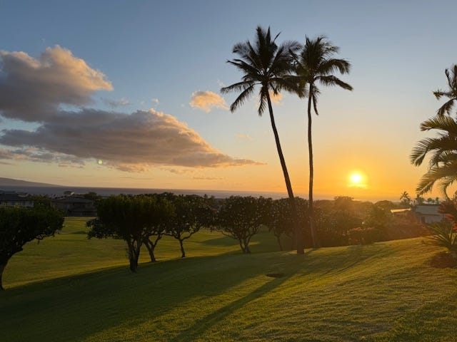 Thoughts on Maui. I’ve just returned from a place that… | by Thoughts ...