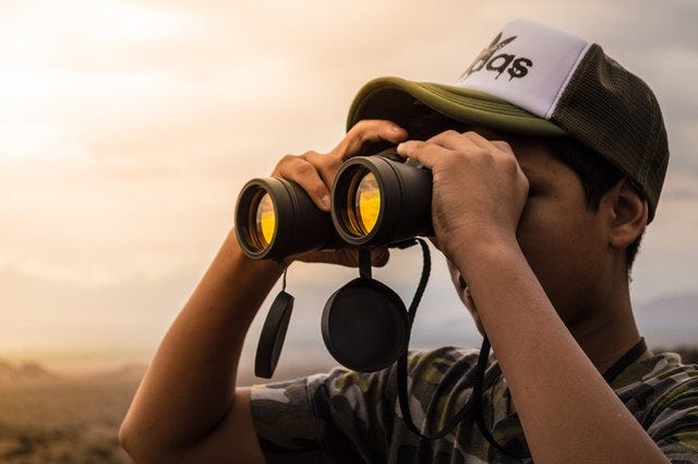 7 rare Mid-Atlantic birds to cross-out from your checklist | by Sudir ...
