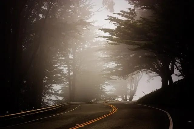 Partial Body Apparition Seen In Northern California | by Terry Larch ...