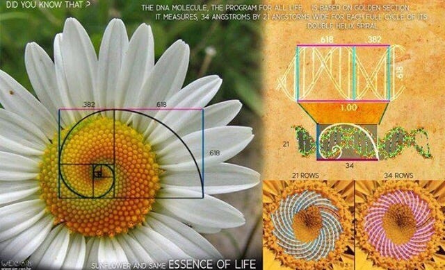 Ascension-We Are Becoming 5th-Dimensional Crystalline Solar Light ...