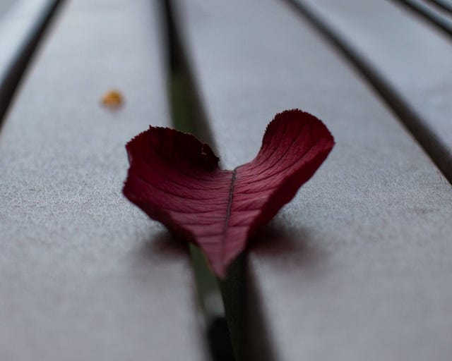 Top 3 Best Poems By Me . 1#Fearless Love | by Ungureanu Madalin Marin ...