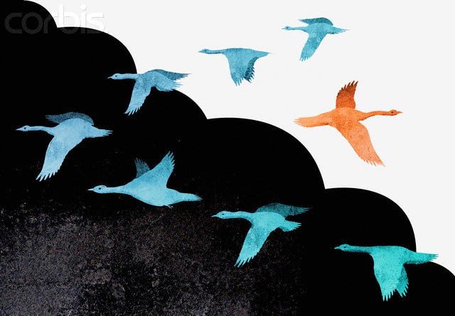 Pati mga ibon umaawit. [Even the birds are singing] | by Mga Liham ni ...
