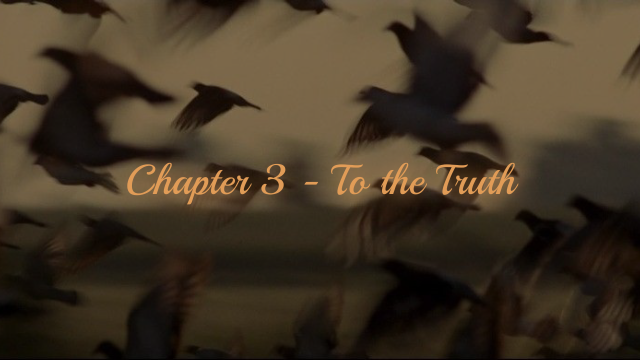 To the Truth. At the auction, you and Shin win the… | by rippleyearns ...