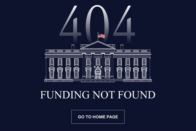 The U.S. Aid Shock, The Future of Africa’s Development | by Solape ...