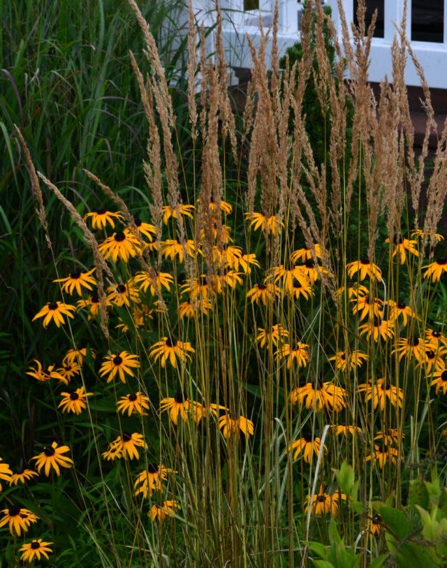 Designing with ornamental grasses and perennials | by John Markowski ...