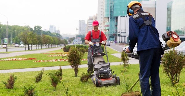 Lawn Maintenance Services Orlando FL: Transforming Your Outdoor Space ...