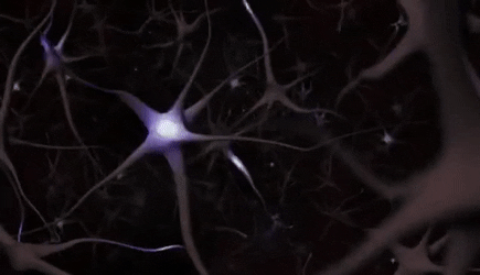 Opinion: Neuroimaging Theory of Consciousness and Neuroscience ...