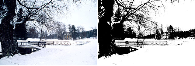 A straightforward introduction to Image Thresholding using python | by ...