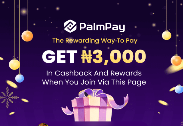 PalmPay: The Reliable Alternative to Traditional Banking Operations ...