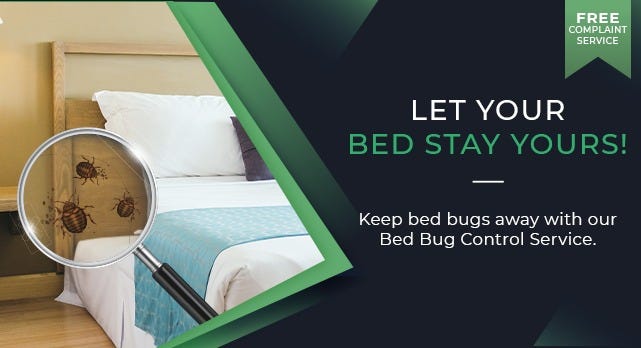 Find out who are the Best Bed Bug Pest Control near you | by HiCare ...