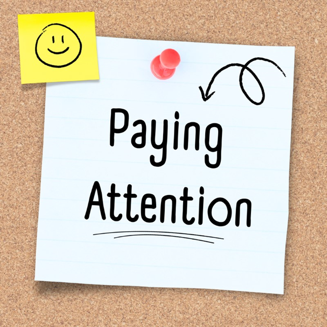 The Paying Attention Roundup. We are what we consume. So, consider ...
