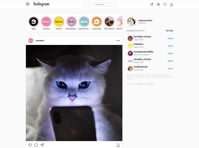 Today I learned (TIL) This week I learned about Instagram cloning and GitHub respo. - Vedu - Medium