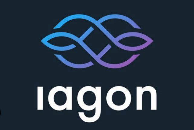 Revolutionizing Cloud Computing: An In-Depth Look at IAGON | by Robert ...