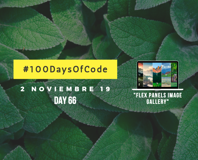#100DaysOfCode _ #Day66. “Flex panels image gallery”… | by Jose Luis Aguilar | Medium