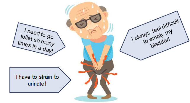 Prostate Health Unveiled: Understanding The Top 5 Symptoms of BPH | by ...