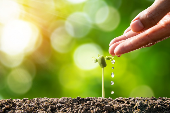 20240402 Tue — spring rain nurturing plants | by World Wave | Medium