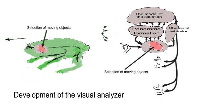 Vision and selection of moving targets | by Jury Biglov | Medium