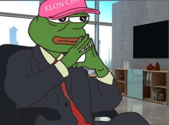 Pepe $pov ceo - PepeOriginalVersion - Medium