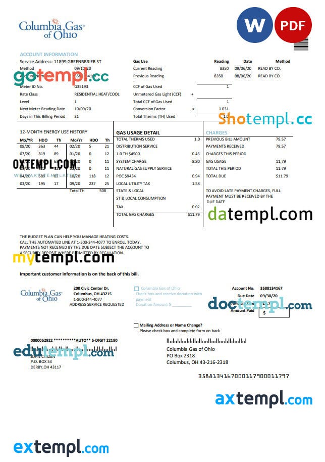 USA COLUMBIA GAS OF OHIO utility bill, PDF and Word download template ...
