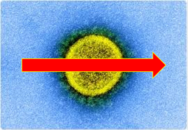 What Corona Virus teaches us about getting things done | by Julian Cork ...