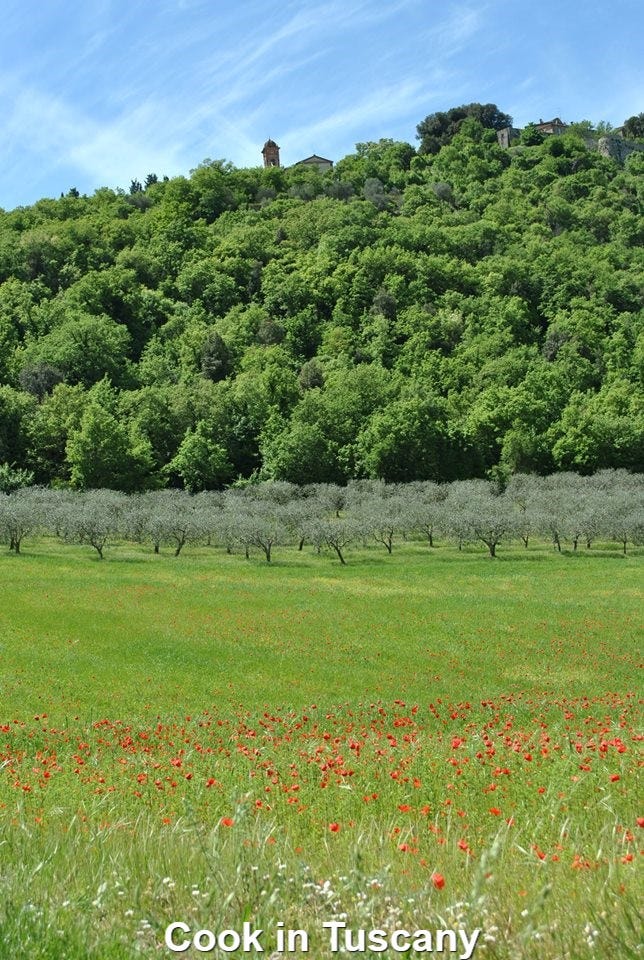 Beautiful spring day in Tuscany. www.cookintuscany.com | by Linda ...