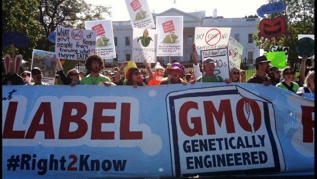 Labeling of Foods containing GMOs | by Ian Torres | Medium