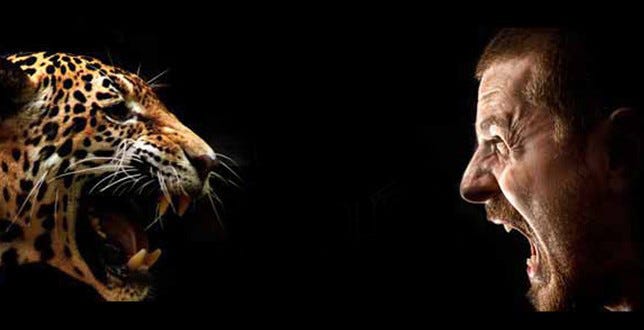 Fears, Commas & the F-Word. Recently, I heard someone say that life ...