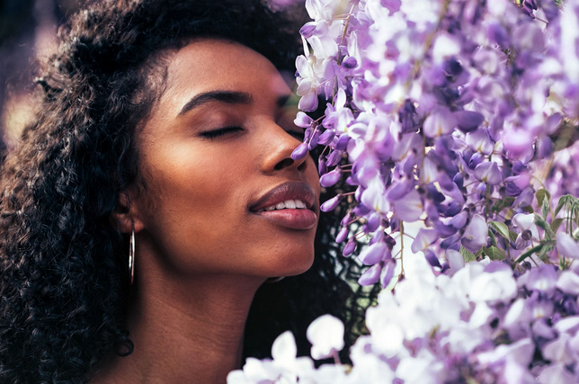 Abyssinian Beauty Products, who are we? | by Raymond Carty | Medium