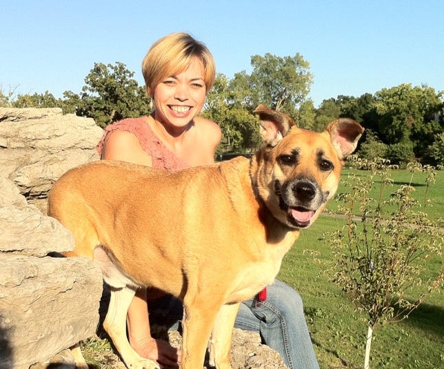 Introduction to 5DOGS. 5DOGS began in a Chinese Medicine… | by the ...
