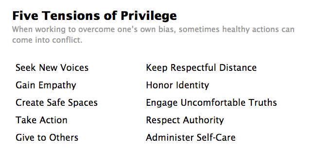 The Tensions of Privilege. Five stressors that challenge progress… | by ...