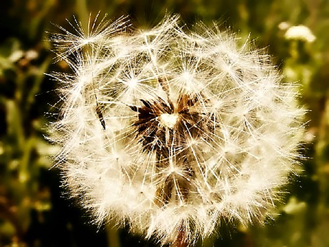 kid nap: a contending, a prayer, and a spell | by Harry Stefanakis | Medium