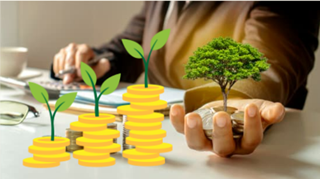 Mastering Money: Why Financial Literacy is Crucial for Every ...