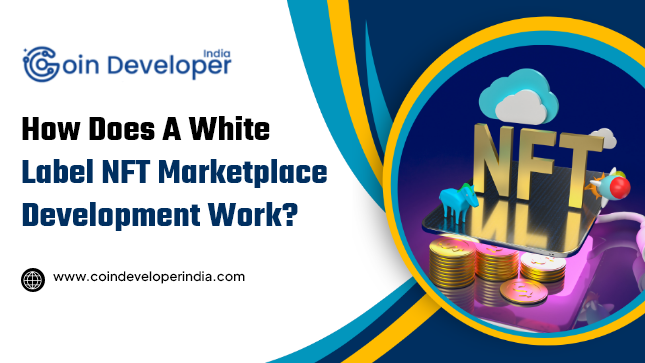 How Does a White Label NFT Marketplace Development Work? | by Coin ...