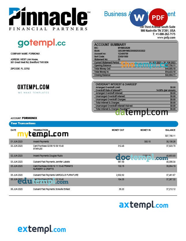 Pinnacle Financial Bank firm account statement Word and PDF template ...