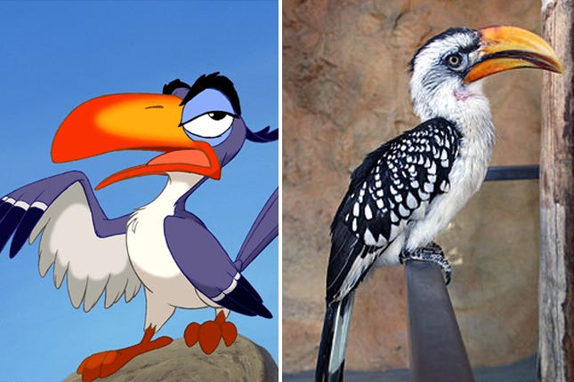 13 animais da Disney e sua versão real na natureza | by Raphael ...