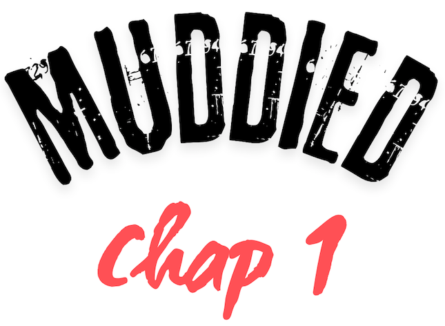 MUDDIED : A Novel. Captures the fear and determination of… | by Meg ...
