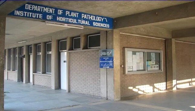 Reflections on My First Two Weeks at Amal Academy: A Photographic Journey | by Zaeem Sabir | Medium