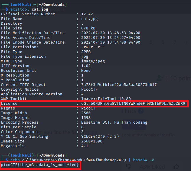 picoCTF{5} — information. Hier der Link zur Challenge… | by Lucas Menke ...