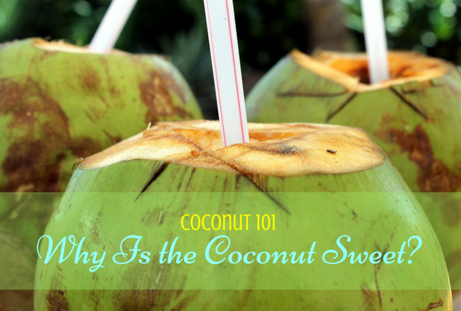Coconut 101: Why Is the Coconut Sweet? | by My Coconut Info | Medium