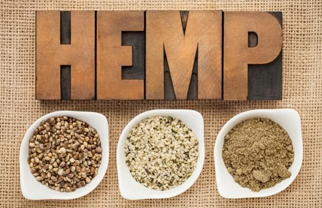 HEMP PROTEINS: EVERYTHING YOU NEED TO KNOW | by Moksa-Expect Miracles ...