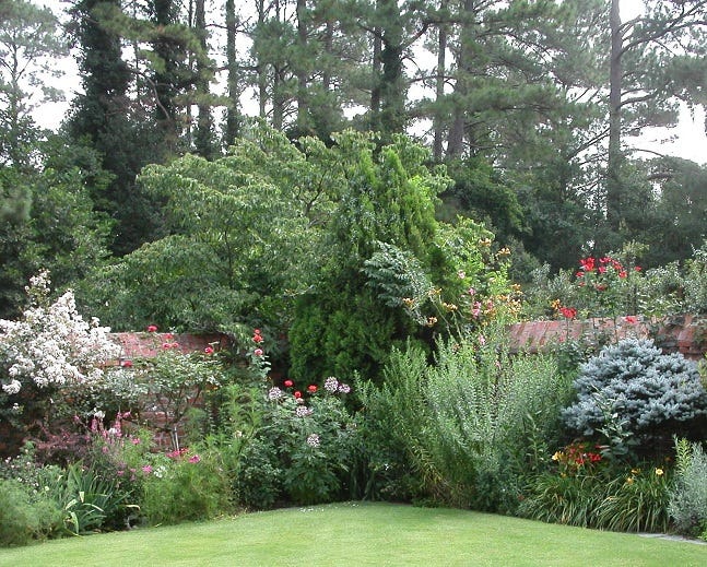 Residential Tree Services. When some think of gardening, they… | by ...