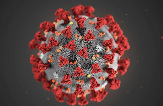 COVID-19 — How a Virus Shut Down the Entire World | by Robert Misovic ...