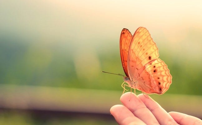 What is Inspiration and Why is it So Important? | by Anwarul A.K.M | Medium