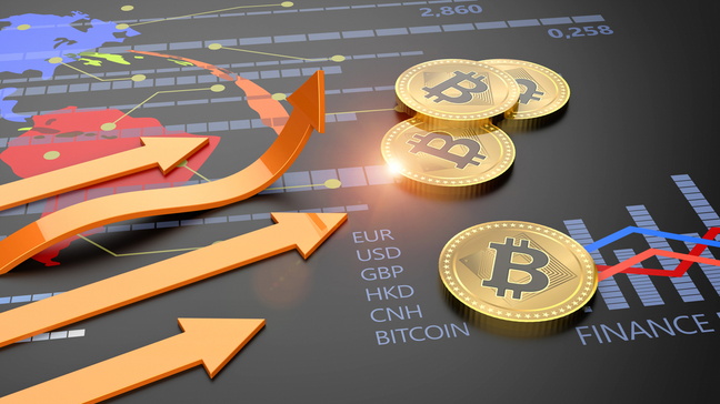 Build a basic Crypto Portfolio. A crypto portfolio is a collection of ...