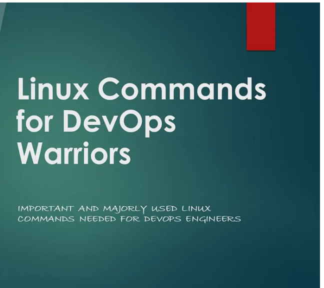 Basic Linux Command. Today, let’s dive into some fundamental… | by ...