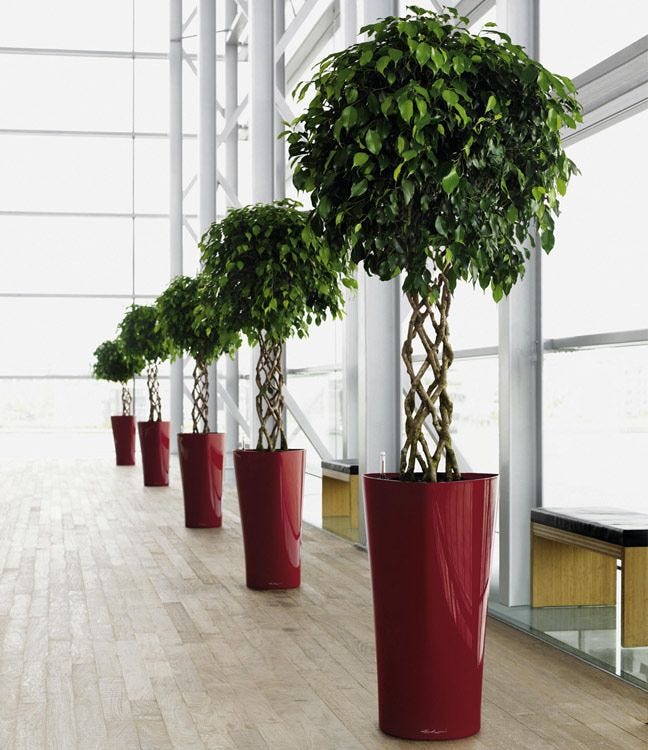 Modern Office Planters. Did you know that having one or more… | by ...