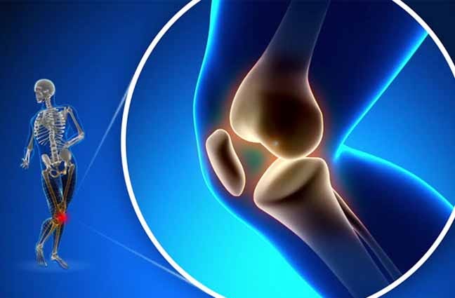 Dr. Sanjay Rawat: Leading Joint Replacement Doctor in Indore | by Dr. Sanjay Rawat | May, 2024 ...