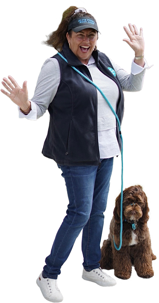 Enjoy the Freedom: Why Active Dog Owners Love Hands-Free Leashes | by ...